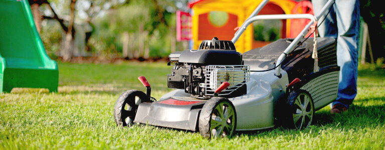 How to care for high-traffic lawns | J&B Buffalo Turf Supplies